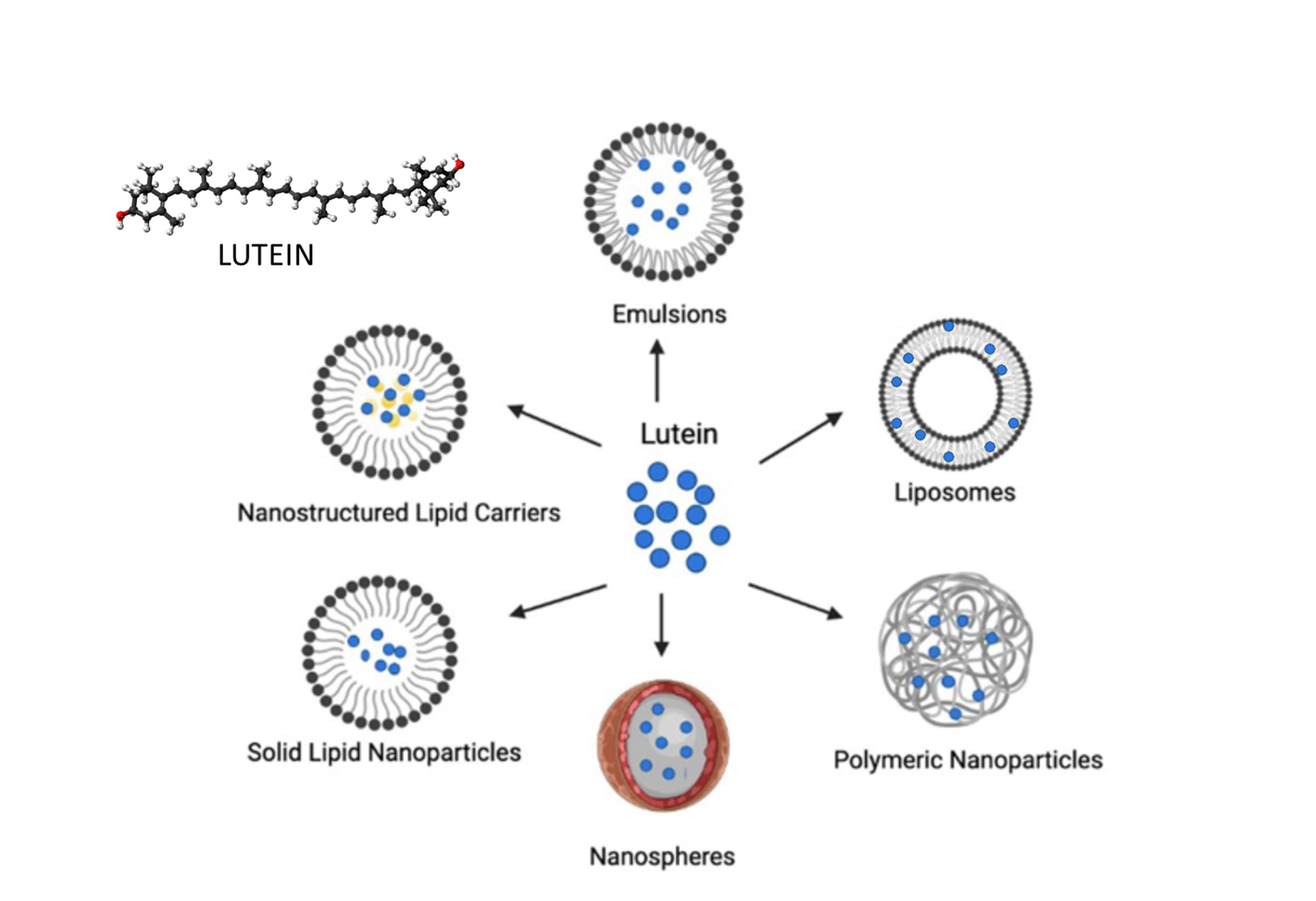 Pharmaceutics | Free Full-Text | Nanoscale Delivery Systems of Lutein ...