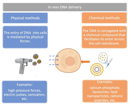 Plasmid DNA for Therapeutic Applications in Cancer