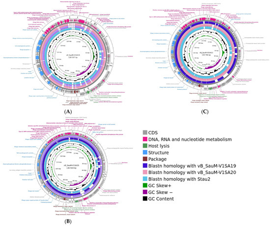 Phage Therapy against Staphylococcus aureus: Selection and Optimization ...