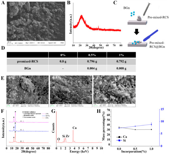 Pharmaceutics | Free Full-Text | Premixed Calcium Silicate-Based Root ...