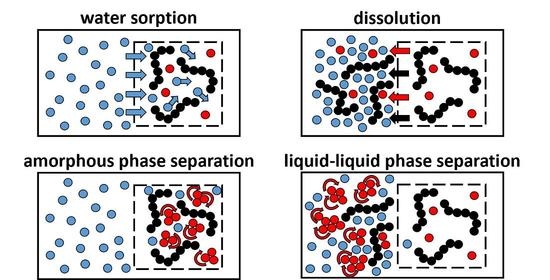Pharmaceutics | Free Full-Text | Explaining the Release Mechanism of ...