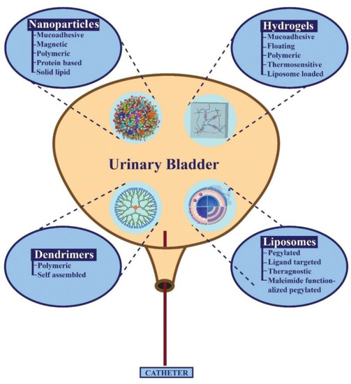 Nano-Formulation Based Intravesical Drug Delivery Systems: An Overview ...