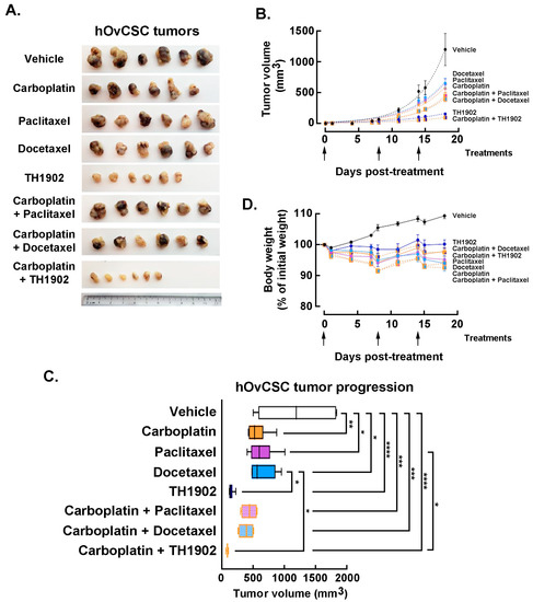 The TH1902 Docetaxel Peptide-Drug Conjugate Inhibits Xenografts Growth ...