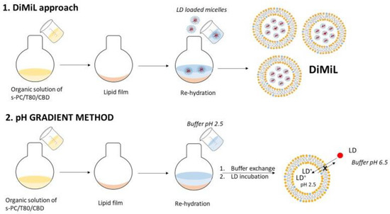 Pharmaceutics | Free Full-Text | Design of Liposomal Lidocaine ...