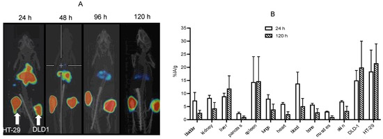 Simultaneous Imaging and Therapy Using Epitope-Specific Anti-Epidermal ...