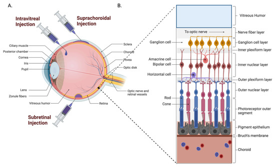 Ocular Drug Delivery: Advancements and Innovations