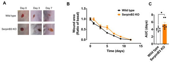 Semisolid Wet Sol–Gel Silica/Hydroxypropyl Methyl Cellulose Formulation ...