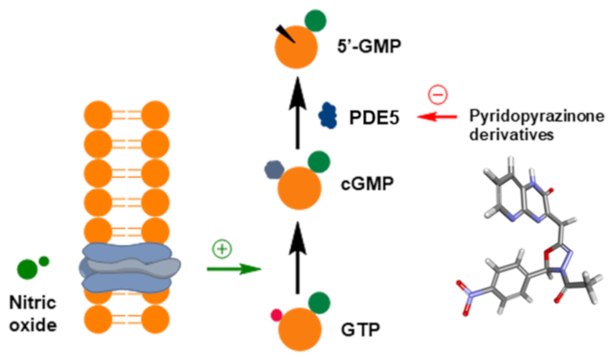Pharmaceutics | Free Full-Text | Scaffold Repurposing Reveals New Nanomolar Phosphodiesterase ...