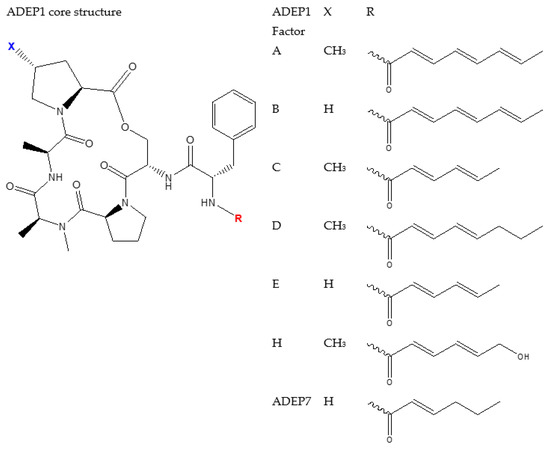 Acyldepsipeptide Analogues: A Future Generation Antibiotics for ...