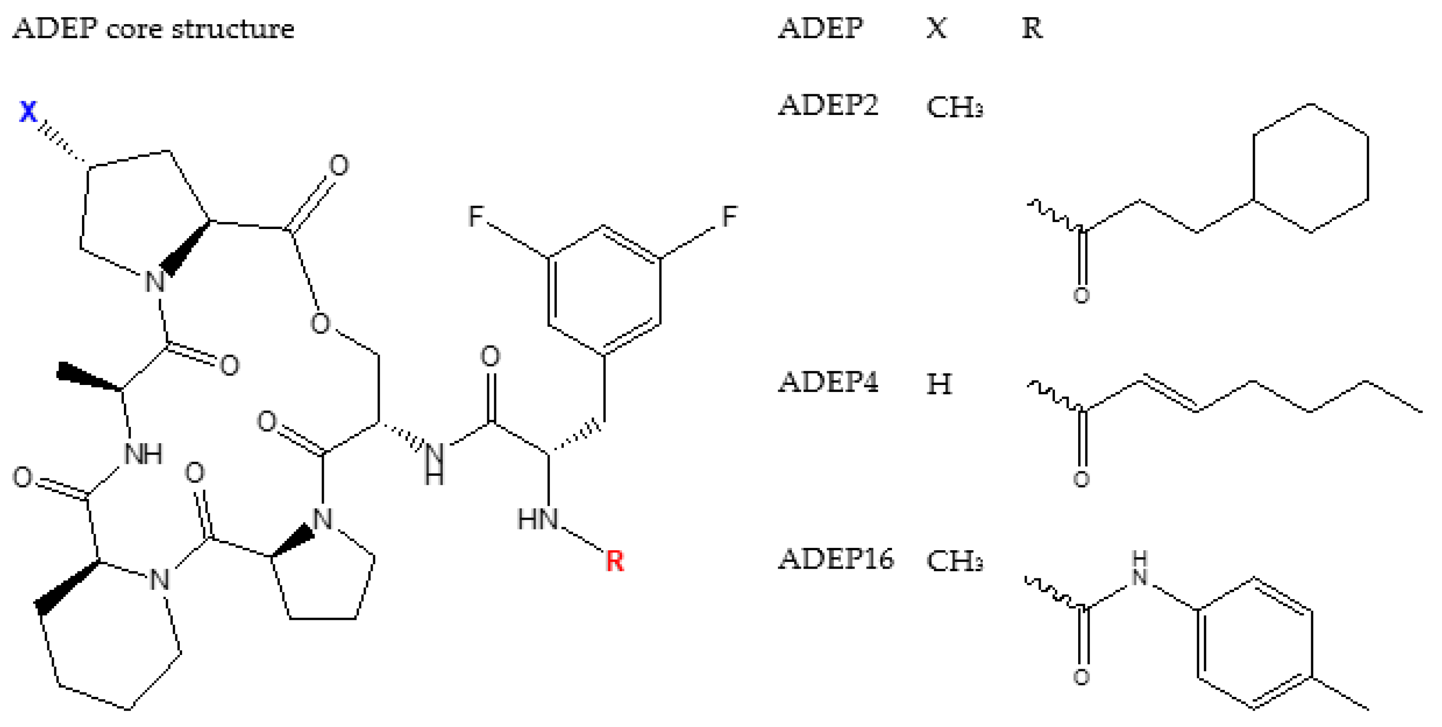 Acyldepsipeptide Analogues: A Future Generation Antibiotics for ...