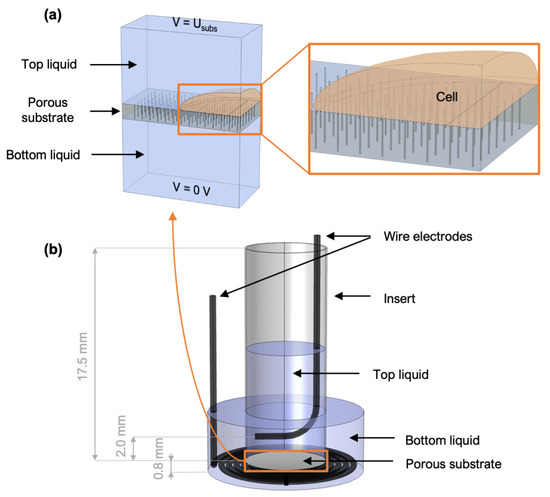 Gene Electrotransfer into Mammalian Cells Using Commercial Cell Culture ...