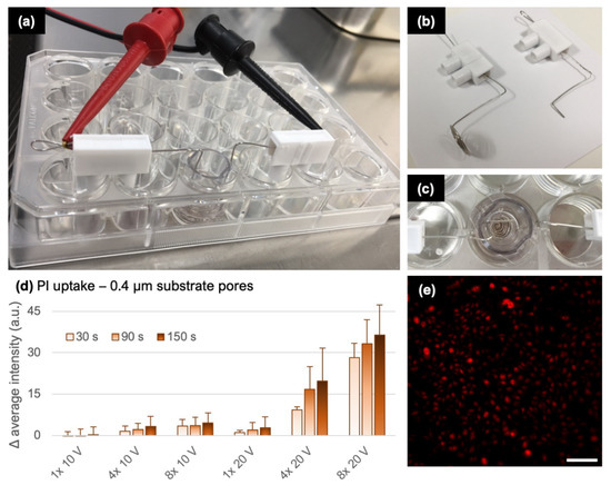 Gene Electrotransfer into Mammalian Cells Using Commercial Cell Culture ...
