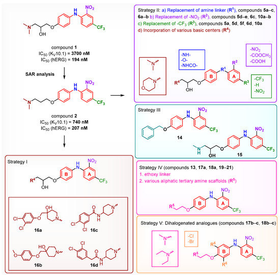New Diarylamine KV10.1 Inhibitors and Their Anticancer Potential
