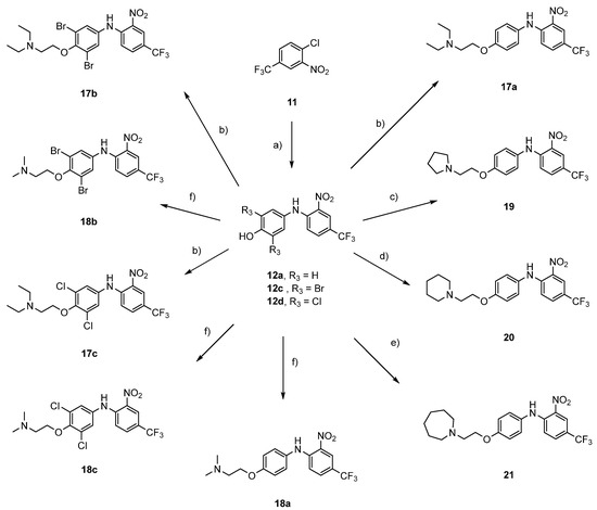New Diarylamine KV10.1 Inhibitors and Their Anticancer Potential
