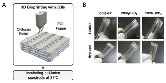 3D Bioprinted Chitosan-Based Hydrogel Scaffolds in Tissue Engineering ...