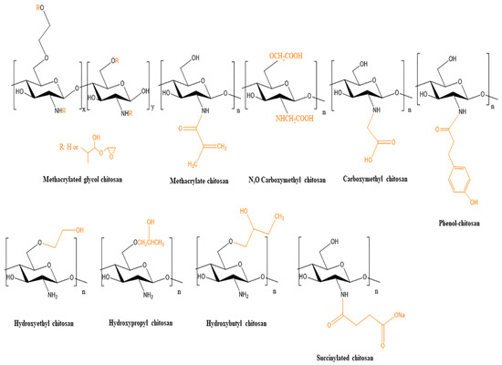 3D Bioprinted Chitosan-Based Hydrogel Scaffolds in Tissue Engineering ...