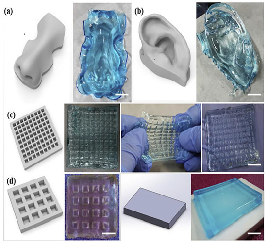 3D Bioprinted Chitosan-Based Hydrogel Scaffolds in Tissue Engineering ...