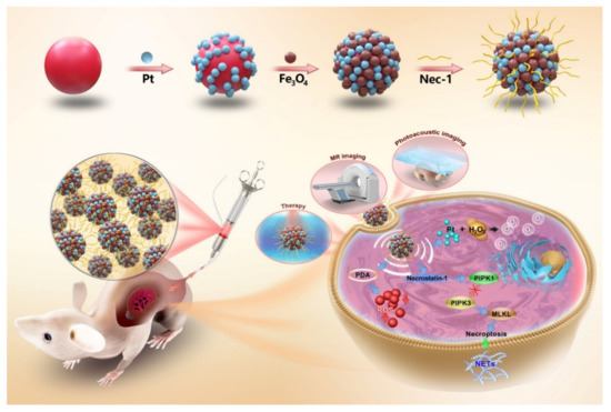 Pharmaceutics | Free Full-Text | Multifunctional Polydopamine-Based ...