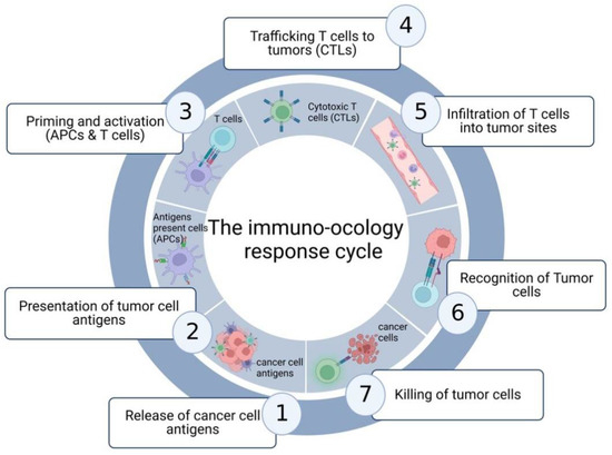 Pharmaceutics | Free Full-Text | Nanoparticle-Based Drug Delivery Systems Targeting Tumor ...