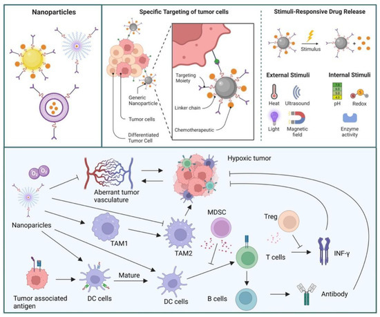 Nanoparticle-Based Drug Delivery Systems Targeting Tumor ...