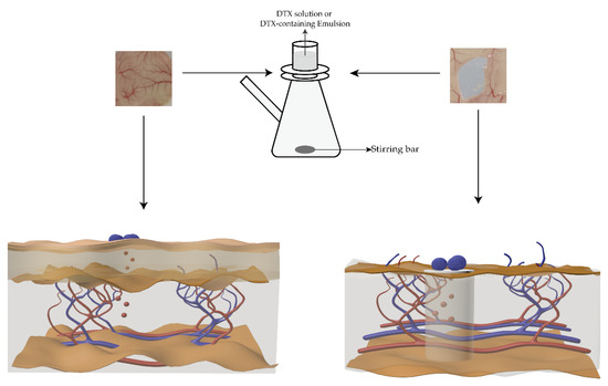The Fabrication of Docetaxel-Containing Emulsion for Drug Release ...