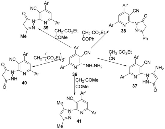 Hybrid Azine Derivatives: A Useful Approach for Antimicrobial Therapy