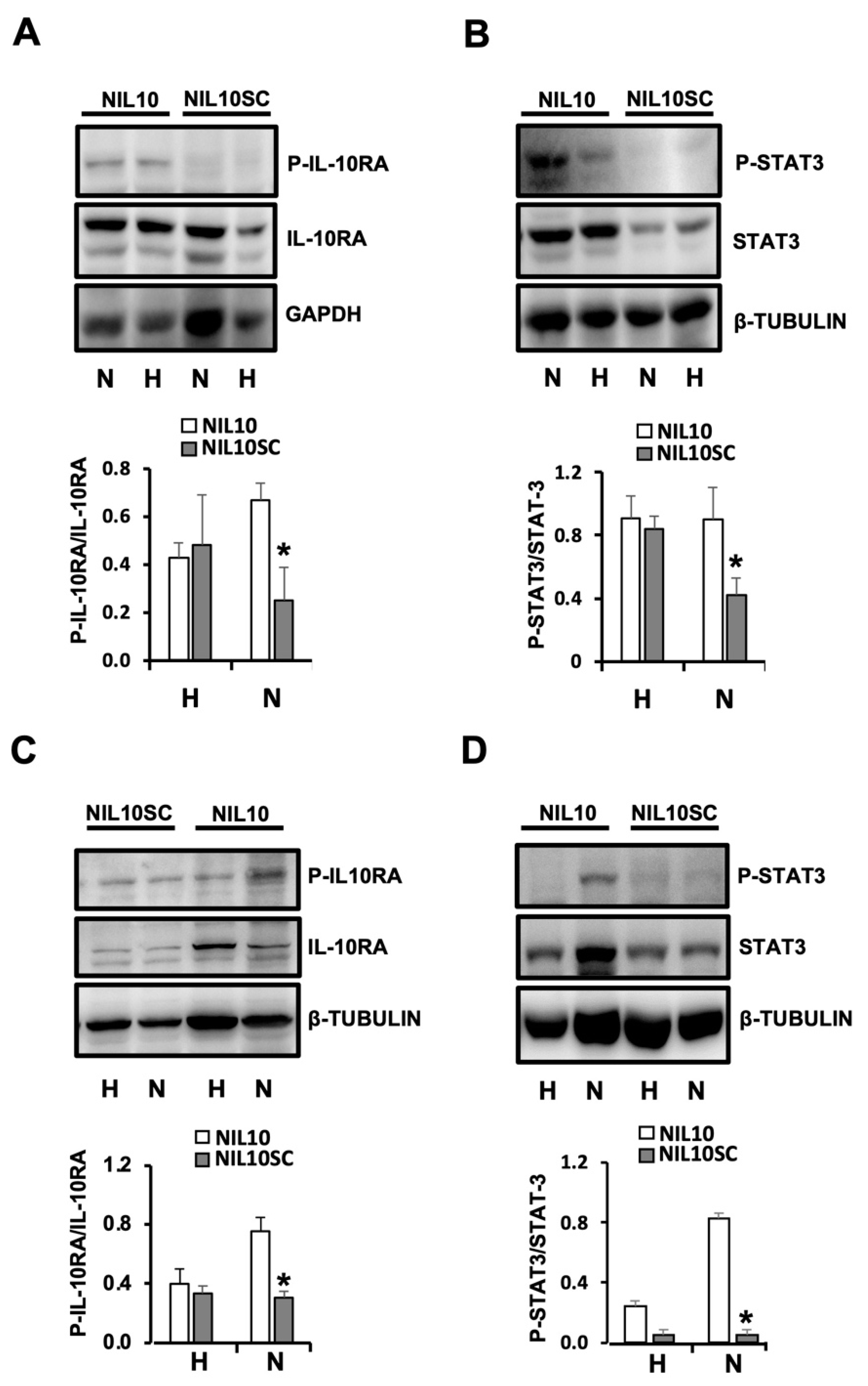 NIL10: A New IL10-Receptor Binding Nanoparticle That Induces Cardiac ...
