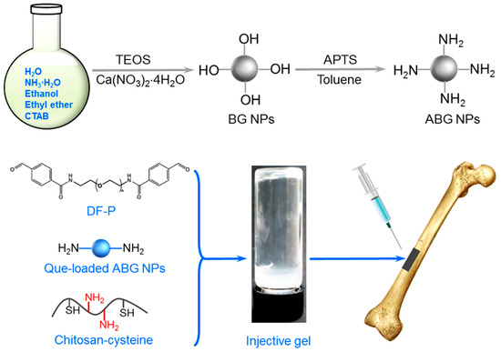 Multi-Crosslinked Strong and Elastic Bioglass/Chitosan-Cysteine ...