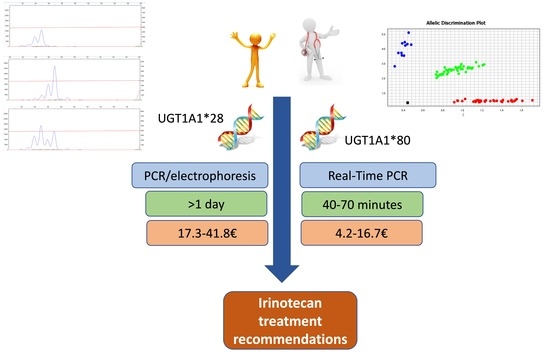 Pharmaceutics | Free Full-Text | Genotyping of UGT1A1*80 as an Alternative to UGT1A1*28 ...