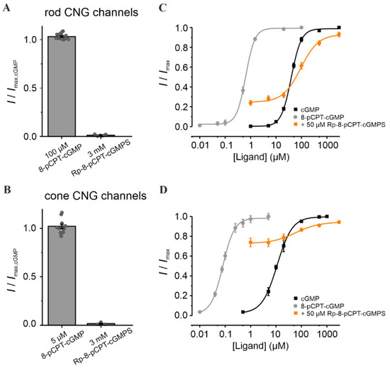 cGMP Analogues with Opposing Actions on CNG Channels Selectively ...
