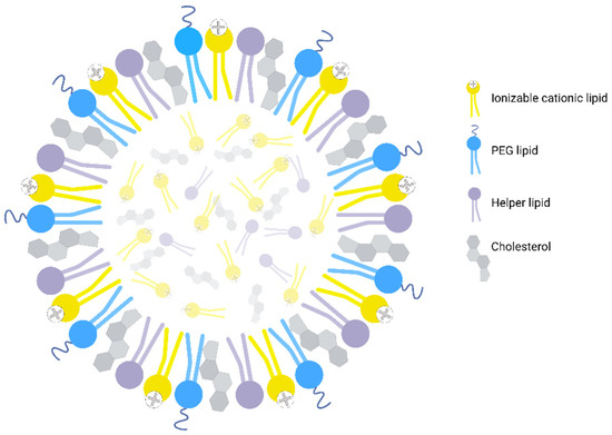 Delivery of RNAs to Specific Organs by Lipid Nanoparticles for Gene Therapy