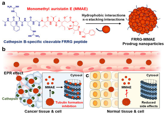 Tumor-Specific Monomethyl Auristatin E (MMAE) Prodrug Nanoparticles for ...