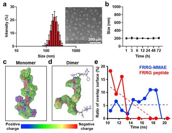 Tumor-Specific Monomethyl Auristatin E (MMAE) Prodrug Nanoparticles for ...