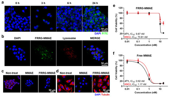 Tumor-Specific Monomethyl Auristatin E (MMAE) Prodrug Nanoparticles for ...