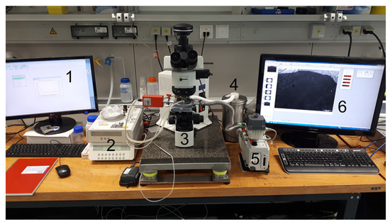 The Influence of Local Microstructure Inhomogeneities on Local Drying ...