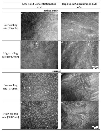 The Influence of Local Microstructure Inhomogeneities on Local Drying ...