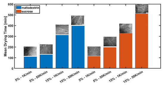 The Influence of Local Microstructure Inhomogeneities on Local Drying Kinetics during Freeze-Drying