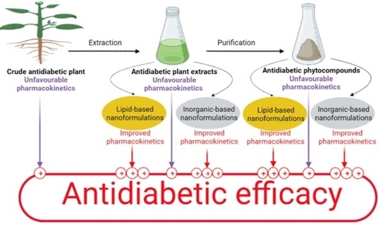 Pharmaceutics | Free Full-Text | An Overview of Herbal-Based Antidiabetic Drug Delivery Systems ...