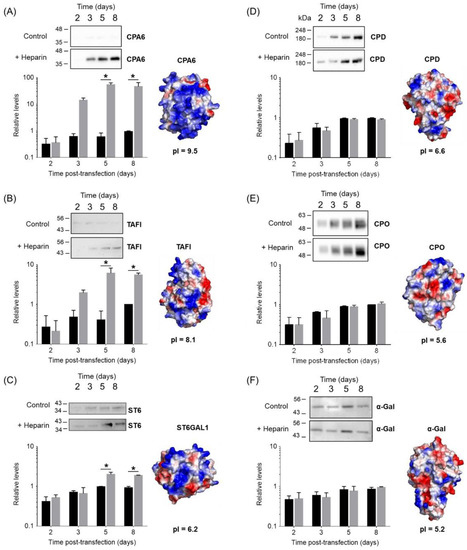 Enhanced Production of ECM Proteins for Pharmaceutical Applications ...