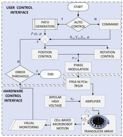 Pharmaceutics | Free Full-Text | Acoustically Driven Cell-Based ...