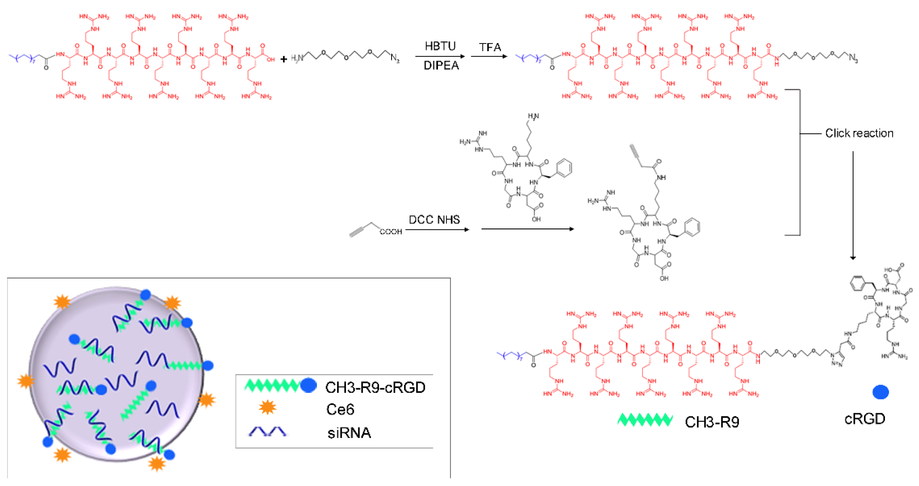 Efficient Delivery of P3H4 siRNA and Chlorin e6 by cRGDfK-Installed ...