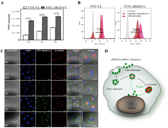 Pharmaceutics | Free Full-Text | Preparation of DSPE-PEG-cRGD Modified ...