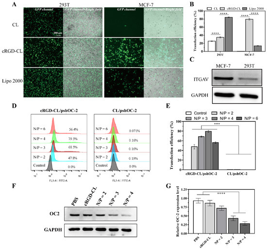 Pharmaceutics | Free Full-Text | Preparation of DSPE-PEG-cRGD Modified ...