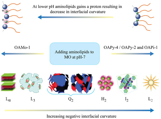 Novel pH-Responsive Cubosome and Hexosome Lipid Nanocarriers of SN-38 ...
