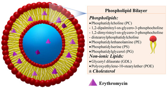 Erythromycin Formulations—A Journey to Advanced Drug Delivery