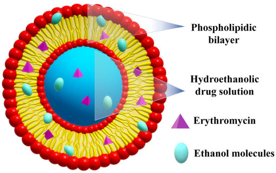 Erythromycin Formulations—A Journey to Advanced Drug Delivery