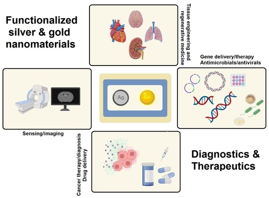 Pharmaceutics | Free Full-Text | Functionalized Silver and Gold ...