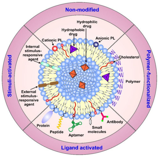 Updates on Responsive Drug Delivery Based on Liposome Vehicles for ...