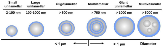 Updates on Responsive Drug Delivery Based on Liposome Vehicles for ...
