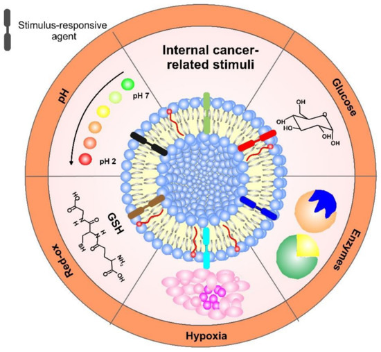 Updates on Responsive Drug Delivery Based on Liposome Vehicles for ...